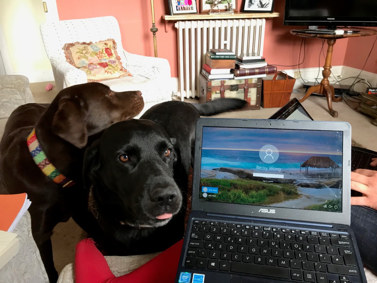 Everything you need to know before you housesit – Project Anywhere